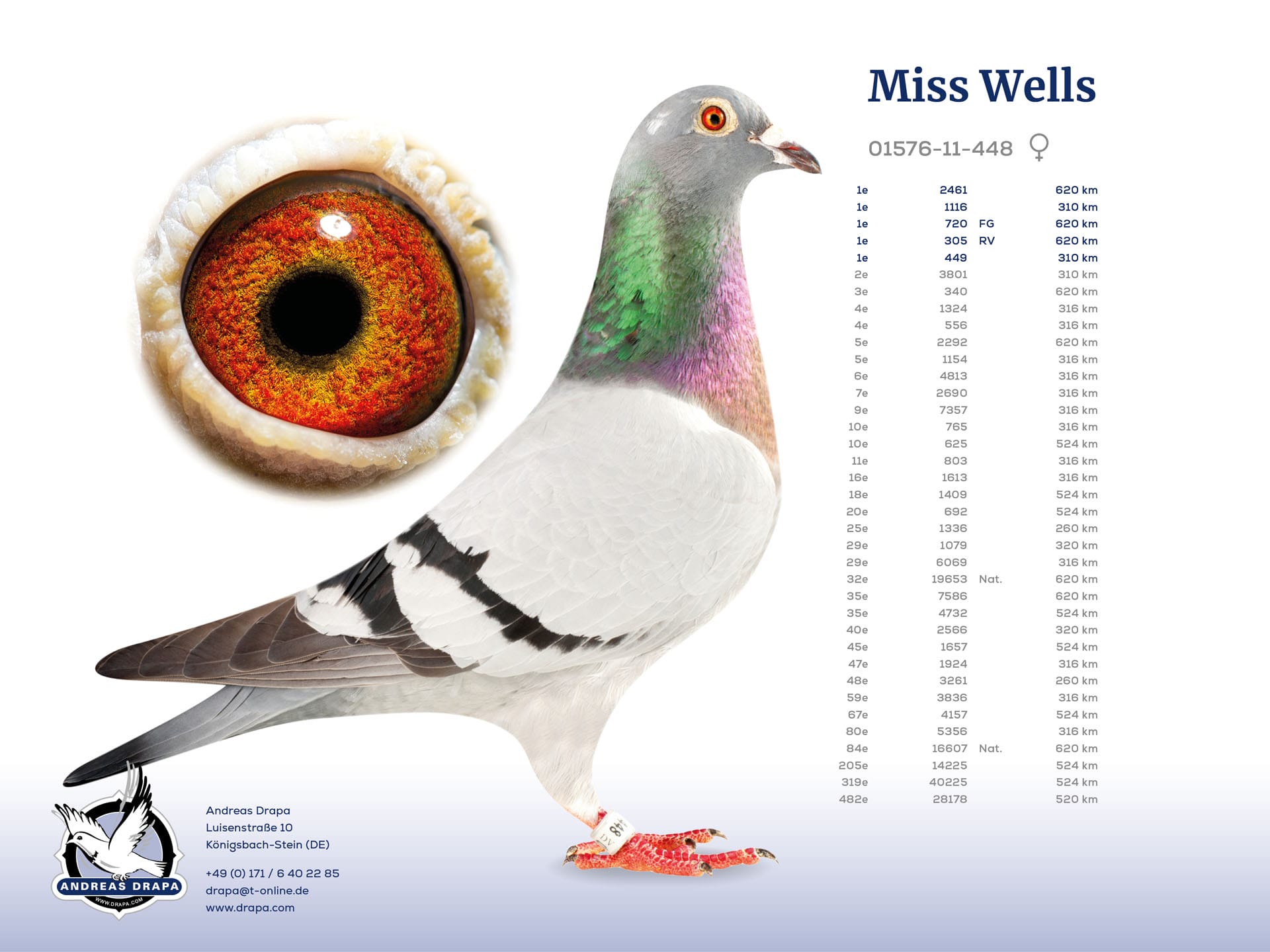 Miss Wells – Drapa